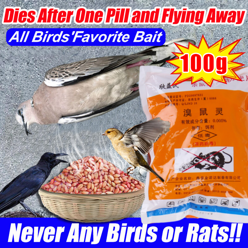 Kill all types of birds Bird Poison Killer Birds&Rats dies after one ...