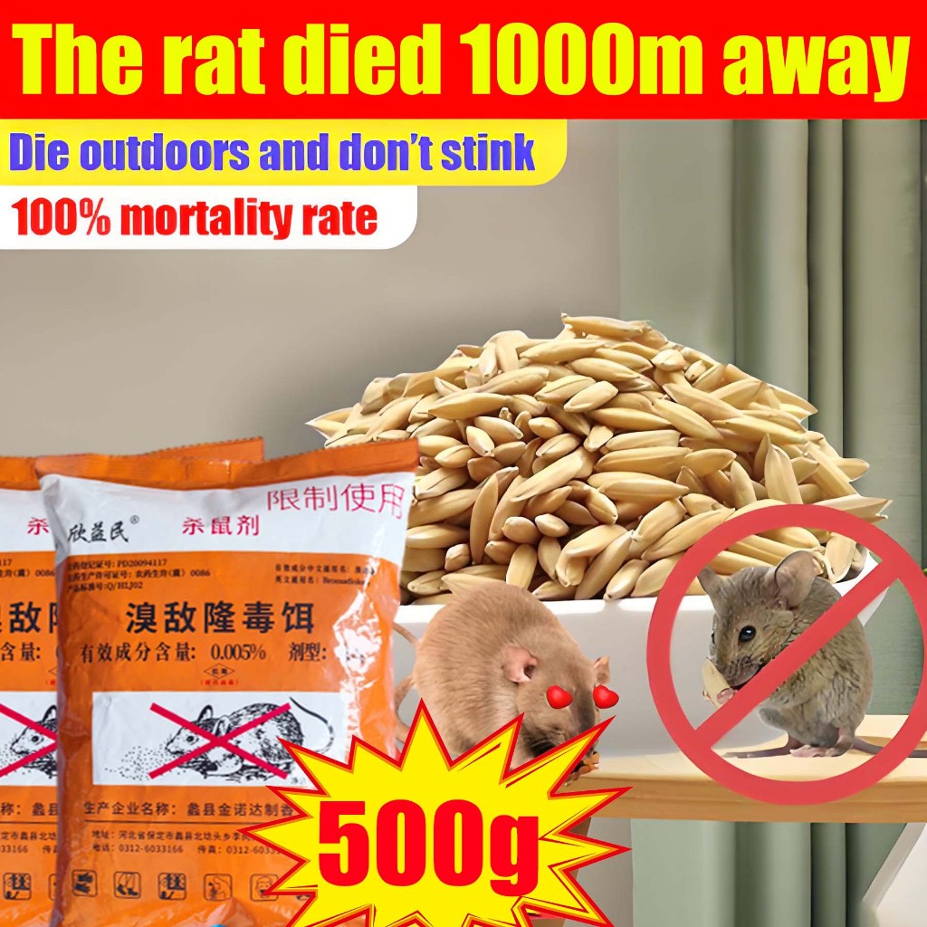 100 years without rats Racun tikus paling kuat 150g buy 1 get 2 Racun ...