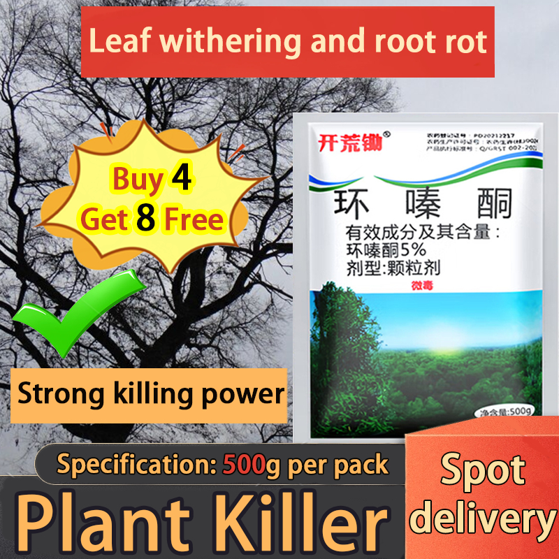 【Strong destructive power】5%Cyclozinone racun serbuk rumput Racun ...