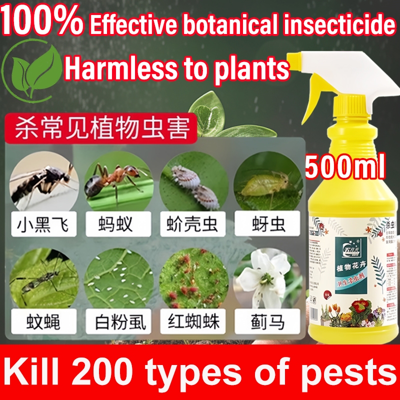 100% effective botanical insecticide Racun serangga tanaman sayur 500ML ...