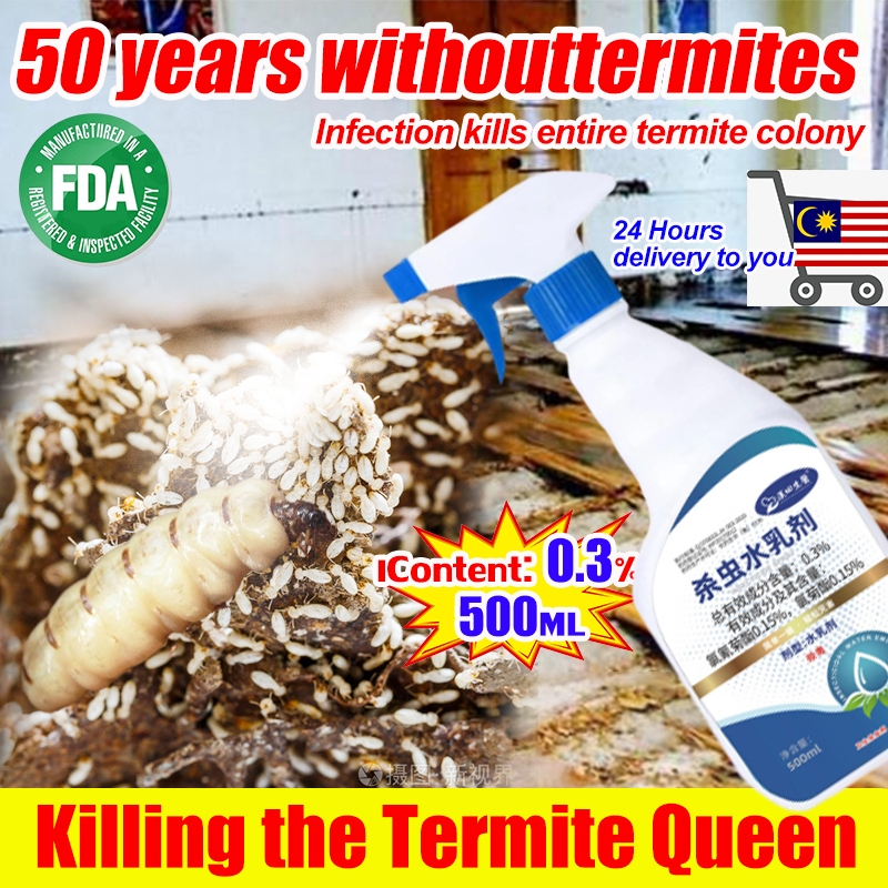 Kill all termites and ants in 1second Ant/Termite Killer Spray 500ml ...