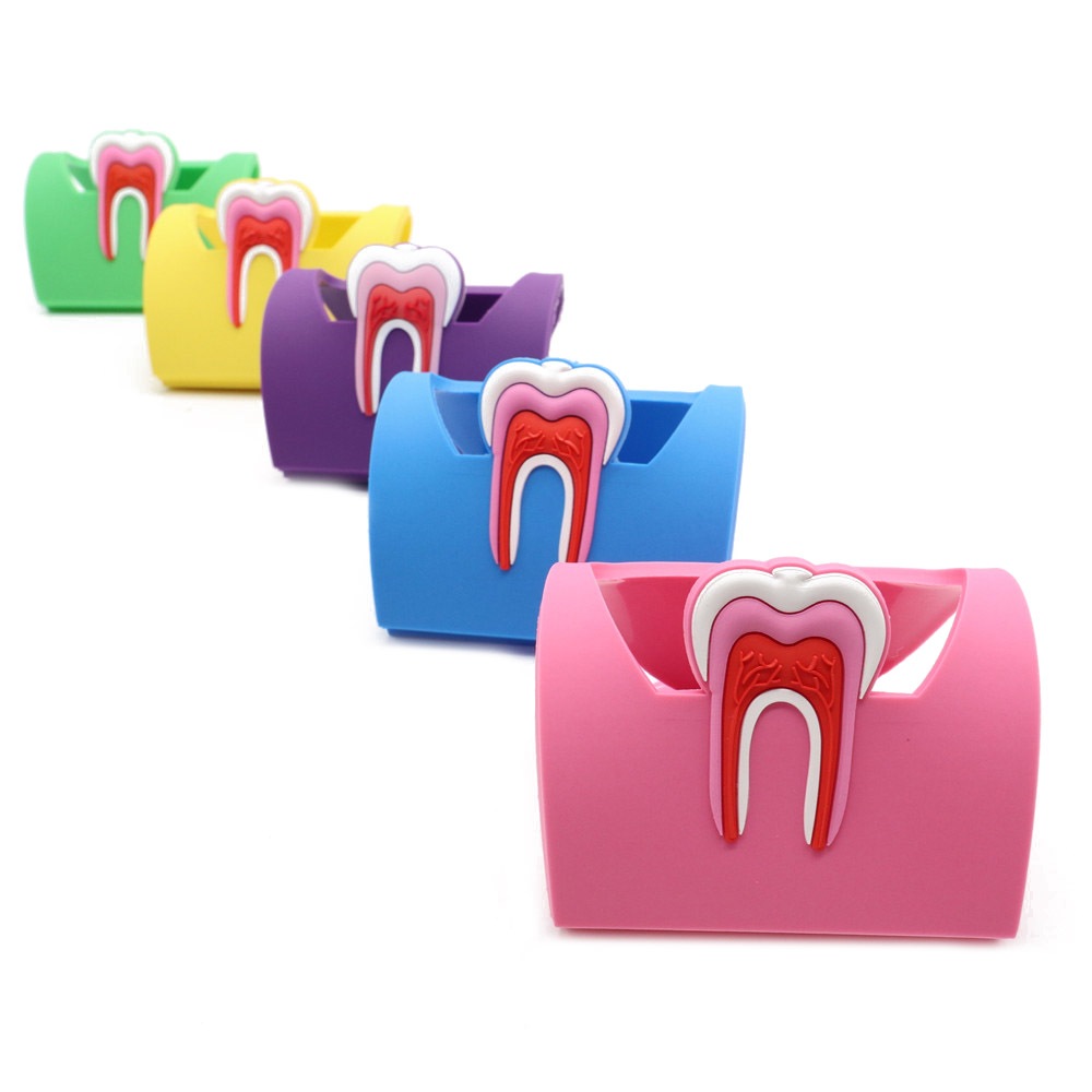 6-Color Dental Lab Tooth Business Card Holder Display Stand - Ideal ...