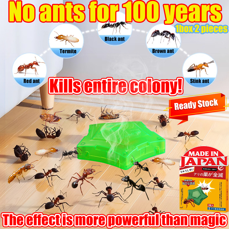 Kill all termites&ants in 1s Ant Killer Termite Killer bait Green ...