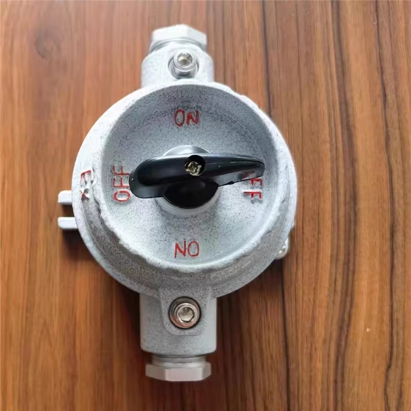 sw-10A Explosion proof lighting switch IIC16A Explosion proof switch ...