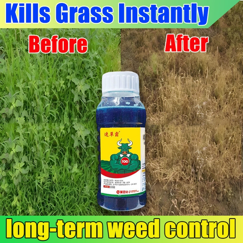 【Efficient and quick weed elimination】Verve Racun rumput paling ...