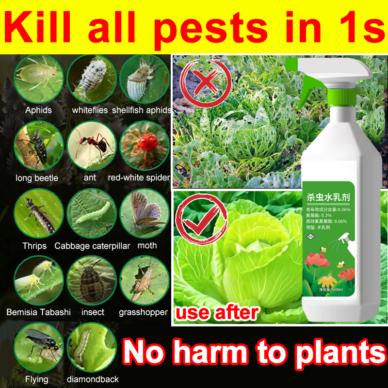 🐛Kill all pests in 1s🐛 racun serangga tanaman 500ML Pesticides for ...
