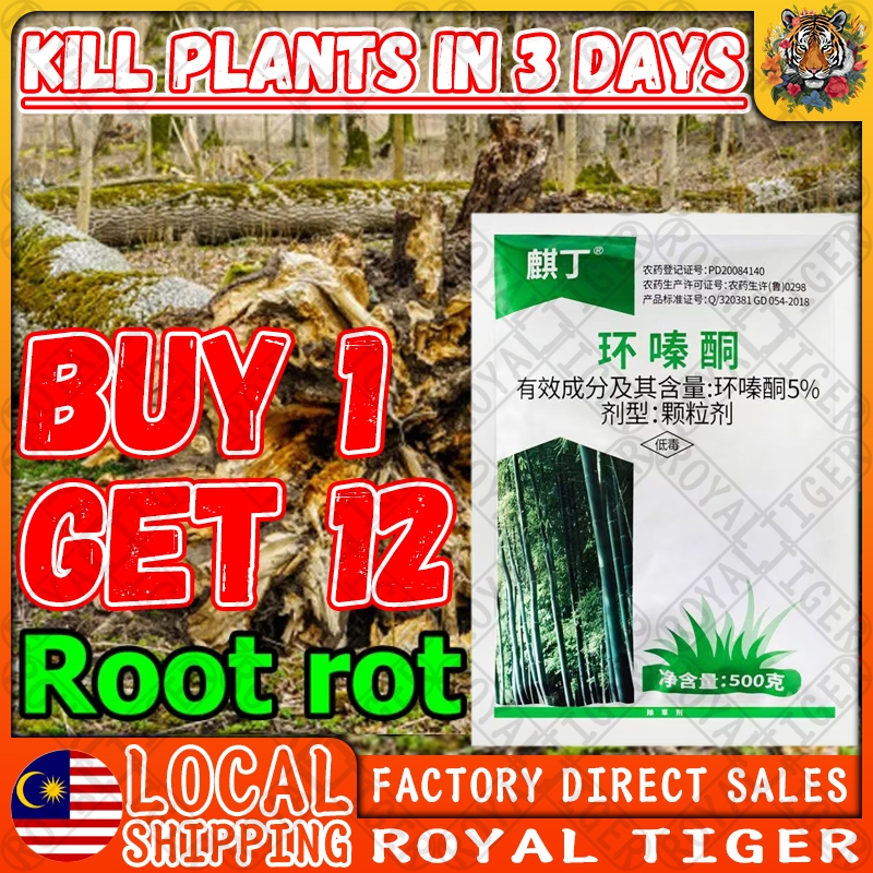 racun rumput mati akar 500g 除草劑 rumput racun racun rumput sambau racun ...
