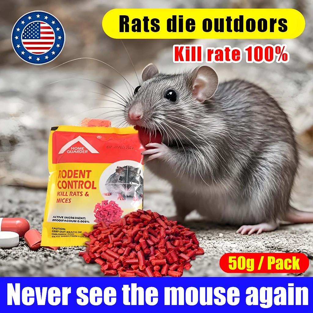 【Malay Spot】Racun tikus paling kuat dalam rumah rat killer kill rats ...