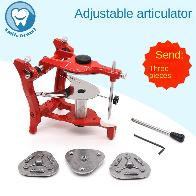 1Pcs High Precision Adjustable Dental Articulator Full Mouth Anatomical ...