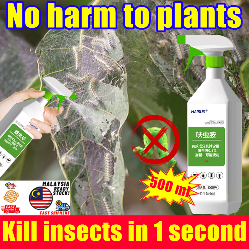 Kill insects in 1second racun serangga tanaman sayur No harm to plants ...