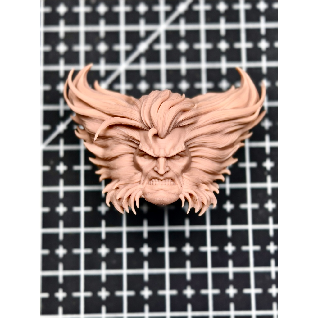 Unpainted 1/12 Scale Age of Apocalypse Wolverine Logan Head Carved ...
