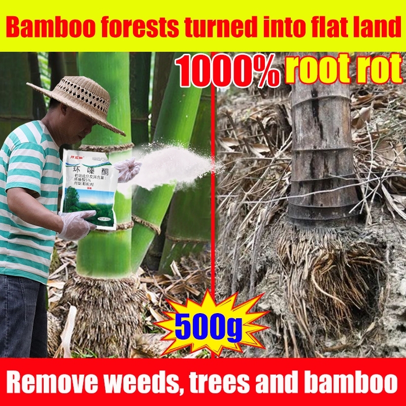 1000% Remove weeds, trees and bamboo racun rumput cepat mati racun ...