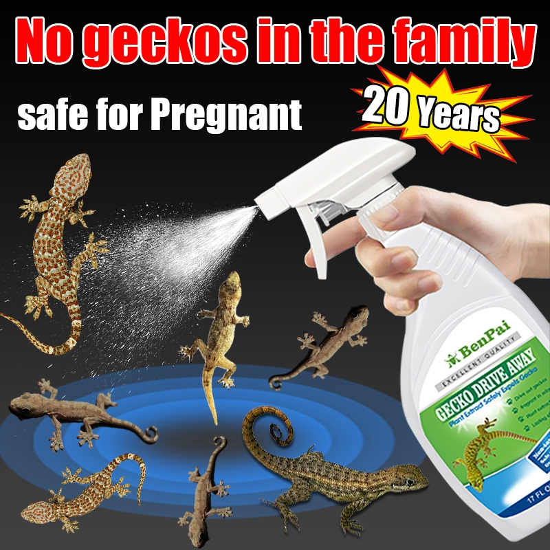 10 years no gecko Lizard repellent Lizard killer spray Japanese import ...