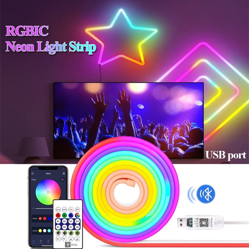 5V USB RGBIC Neon Light Strip with Music Sync Smart APP Control IP68 ...