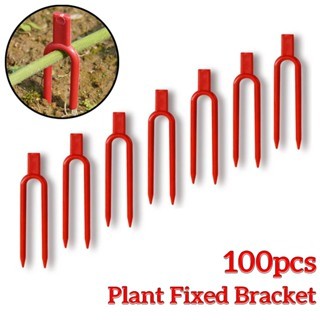 Plant fastening plastic clips Plant stem runners fixer Fruit and ...