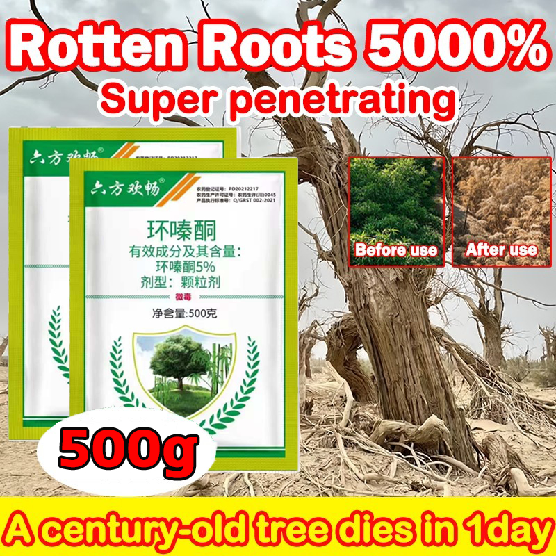 1000% rotten roots tree killer 5%Cyclozinone racun serbuk rumput Racun rumput paling berkesan ...