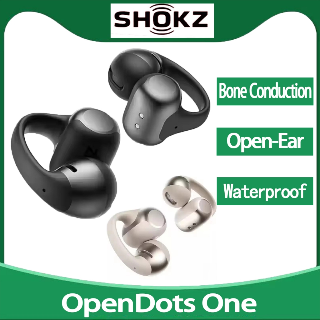 Shokz OpenDots ONE E310 Wireless Bluetooth 5.4 Earphones Titanium ...