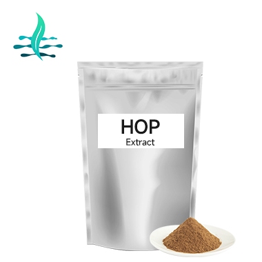 Hops Extract Powder 100% Natural High-Quality Humulus Lupulus Extract ...