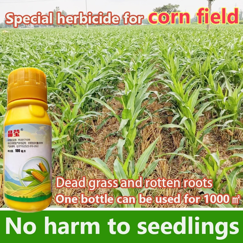Special herbicide for corn field Cornfield Herbicide | Shopee Malaysia