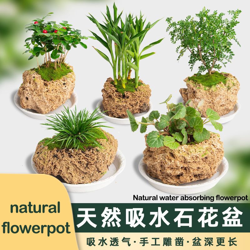 Natural micro landscape water absorbing stone for flower pots 天然吸水石花盆 ...