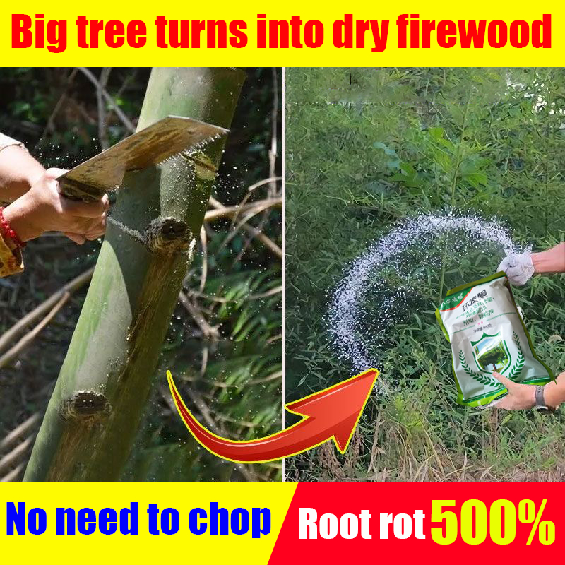【No matter how big the tree is 1000% rotten roots】racun rumput cepat ...