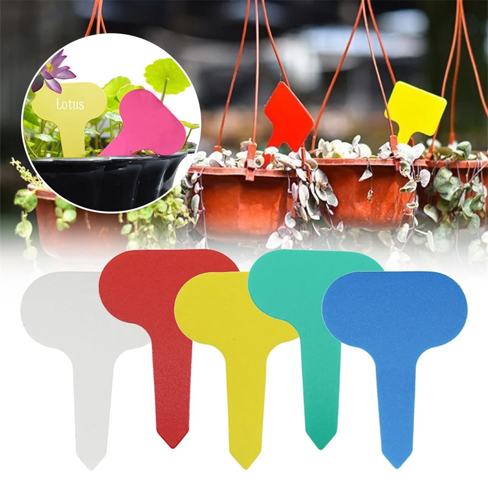 20/100Pcs T-Shape Waterproof Oval Plants Labels Garden Orchard Balcony ...
