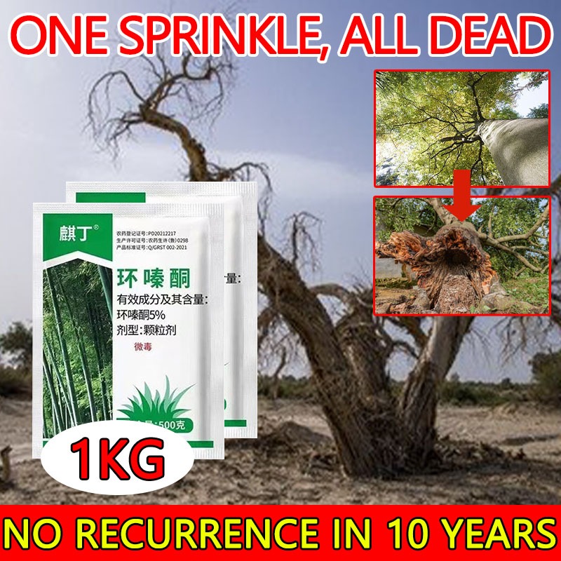 Weeds and bamboo trees disappeared overnight 1KG Racun pokok The King ...