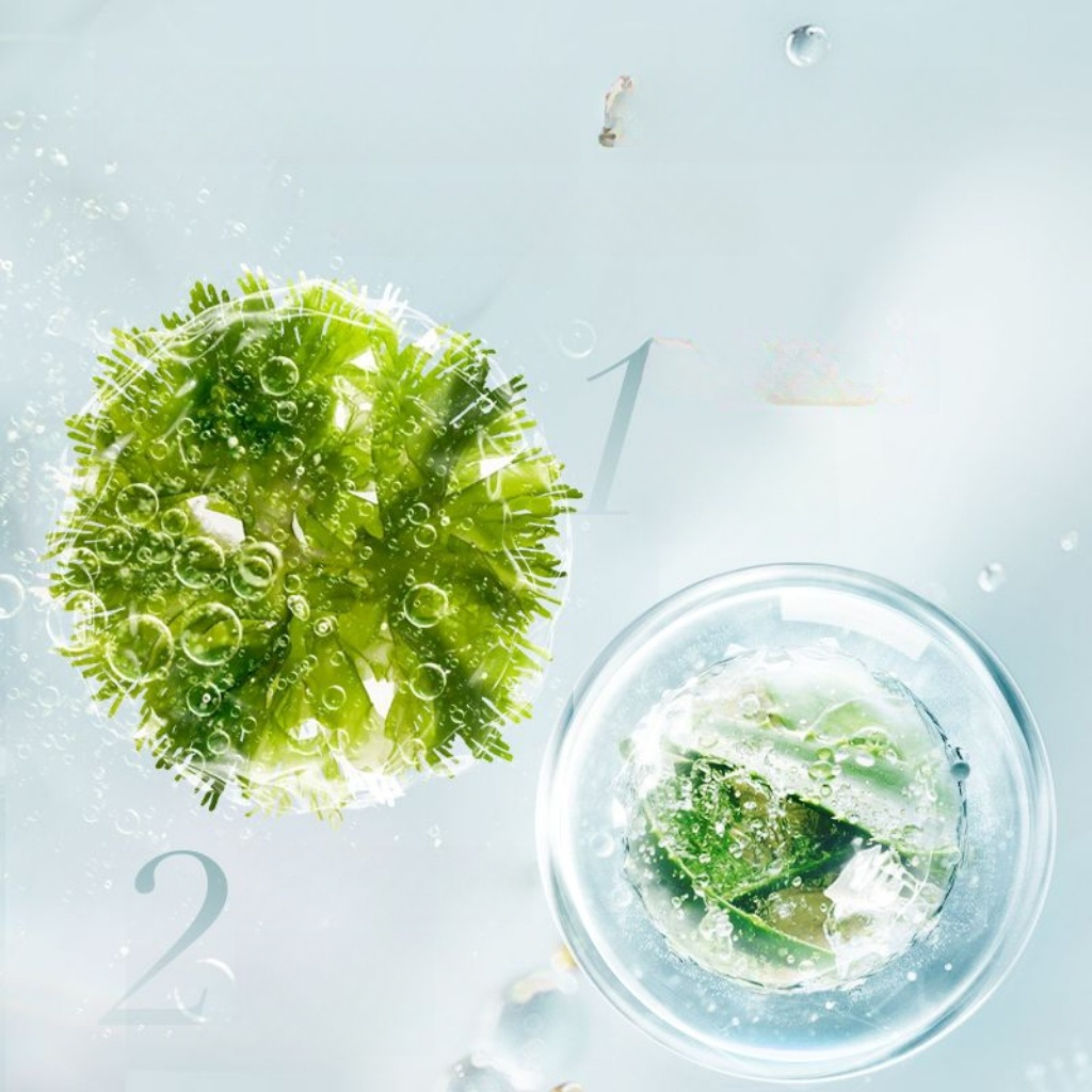 PROYA Double Marine Algae Hydrating Mask 11 Sheets - Overnight Rescue ...