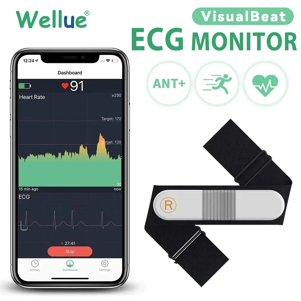 Wellue Holter Ecg 24 Hour Holter Recorder Ai-Ecg Analysis Heart Monitor ...