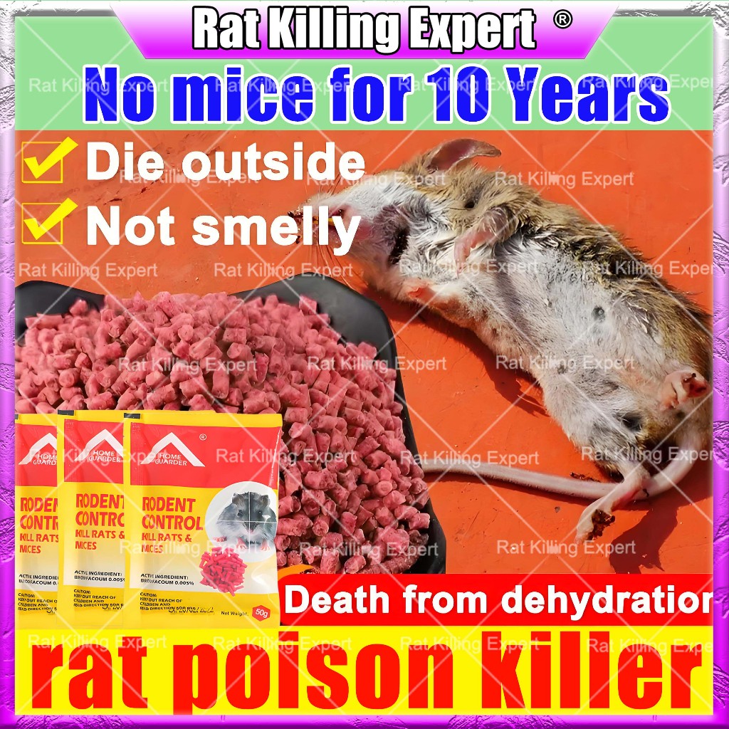 【Malay Spot】racun tikus paling kuat rat killer 100% valid rat bait rat ...