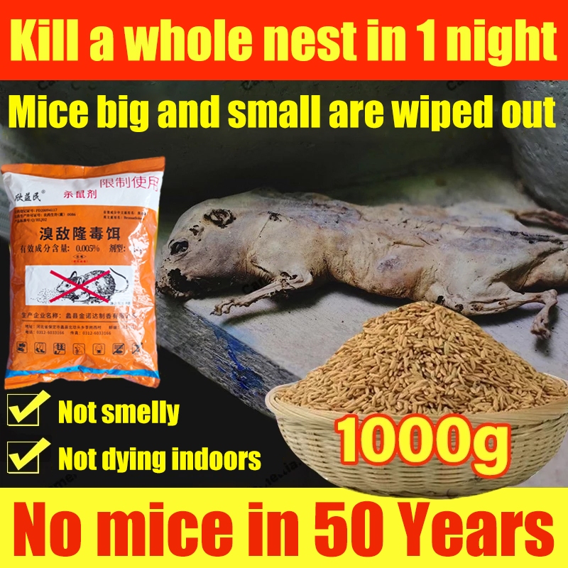 500x stronger than a cat 500g racun tikus paling kuat rat poison strong ...