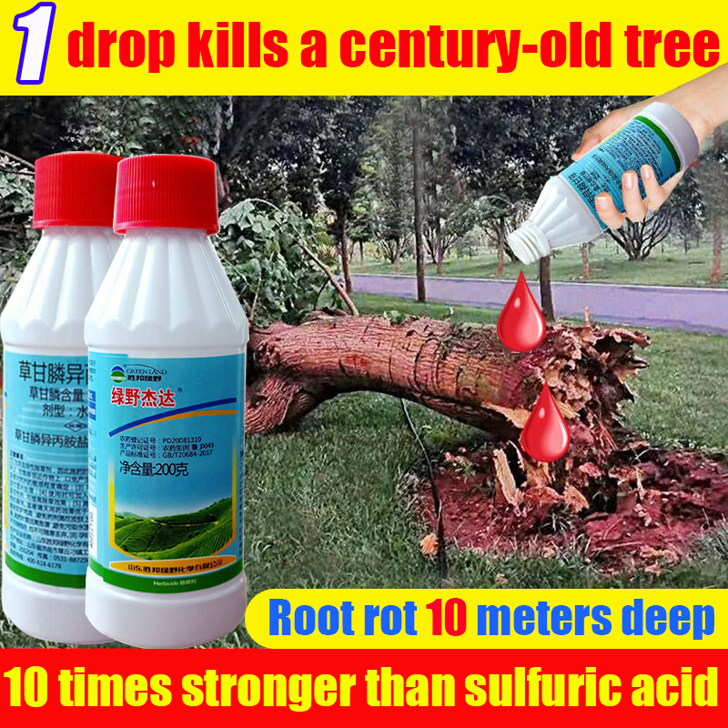 1 drop kills a century-old tree racun pokok paling kuat Root rot 10 ...