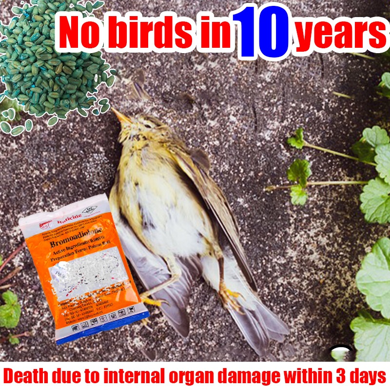 1 pack of bird poison to kill all kinds of birds, guaranteed to be ...