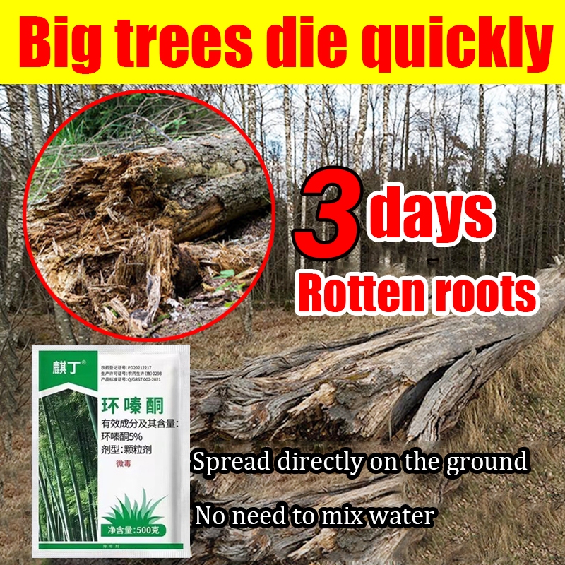 【Best tree killer powder】tree killer 500g Weeding and tree removal 麒丁5% ...
