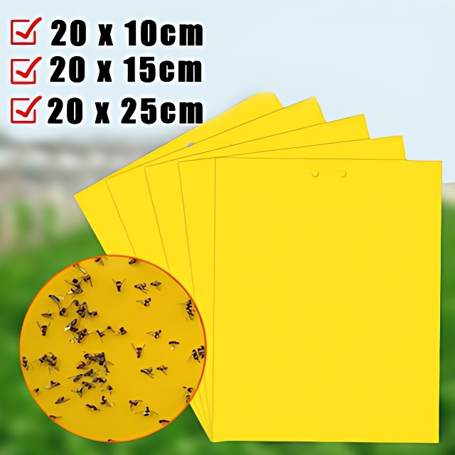 Fruit Fly Double-Sides Yellow Sticky Trap Flies Trap Insect Stick ...