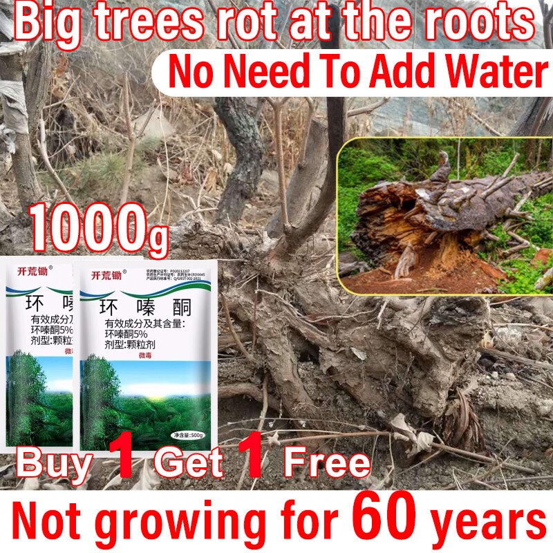 Tree root rots over night Tree Herbicide to kill tree cycloazinone ...