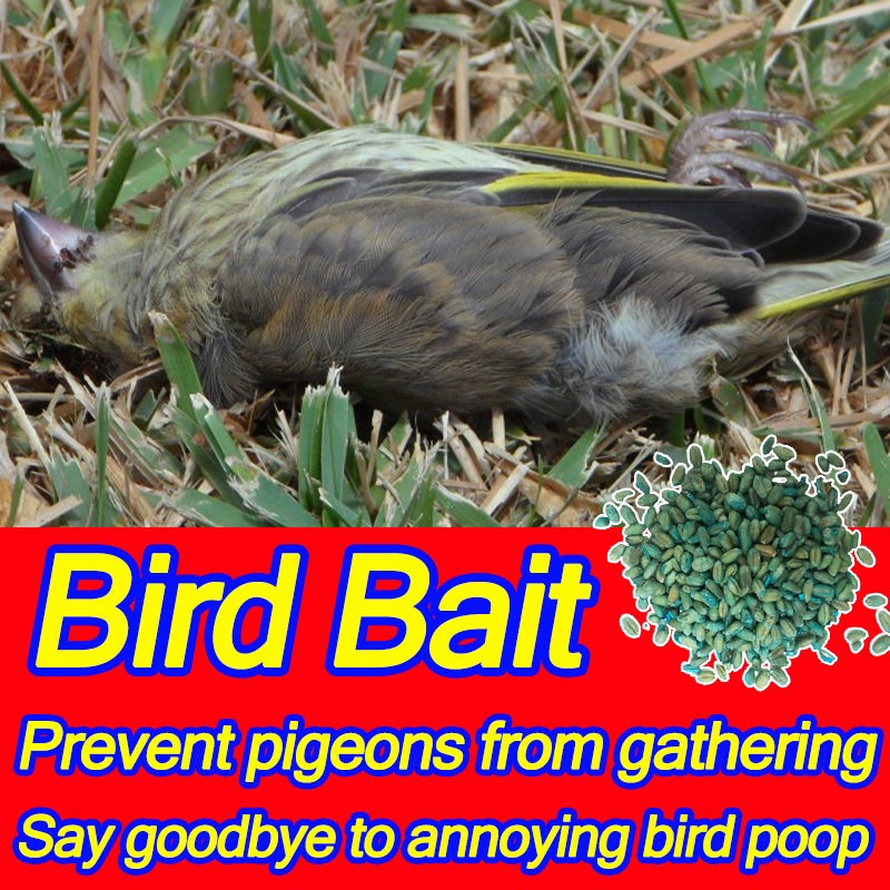 750g Bird repellent Prevent pigeons from gathering bird killer Say ...