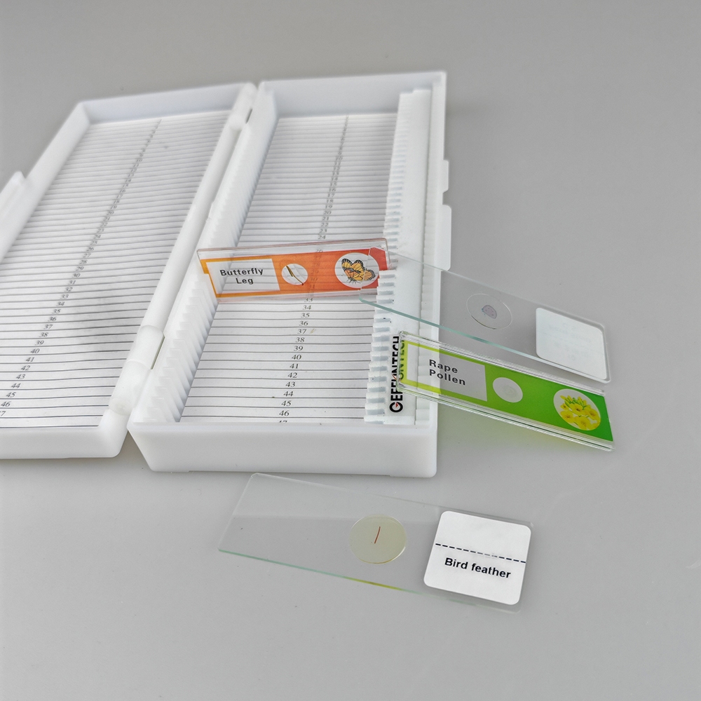 Small size 50 slots Microscope Slides Specimens Storage Box Case ...