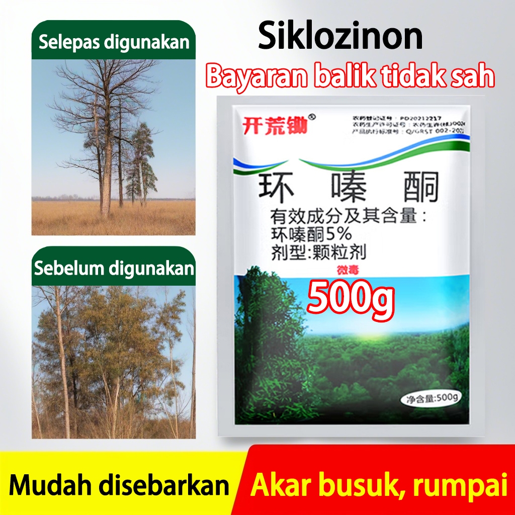 1000% rotten root Tree killer Strongest tree poison Root rot in 1 day ...