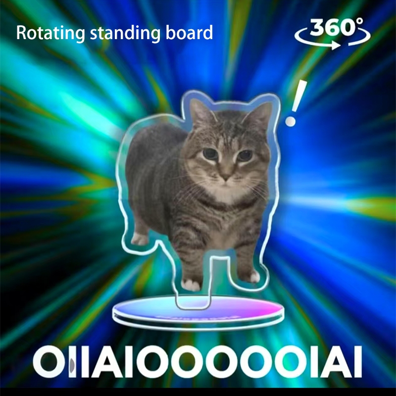 "Funny Cat Meme Rotating Stand - 360 Degree Spinning Desk Decor, Cute ...