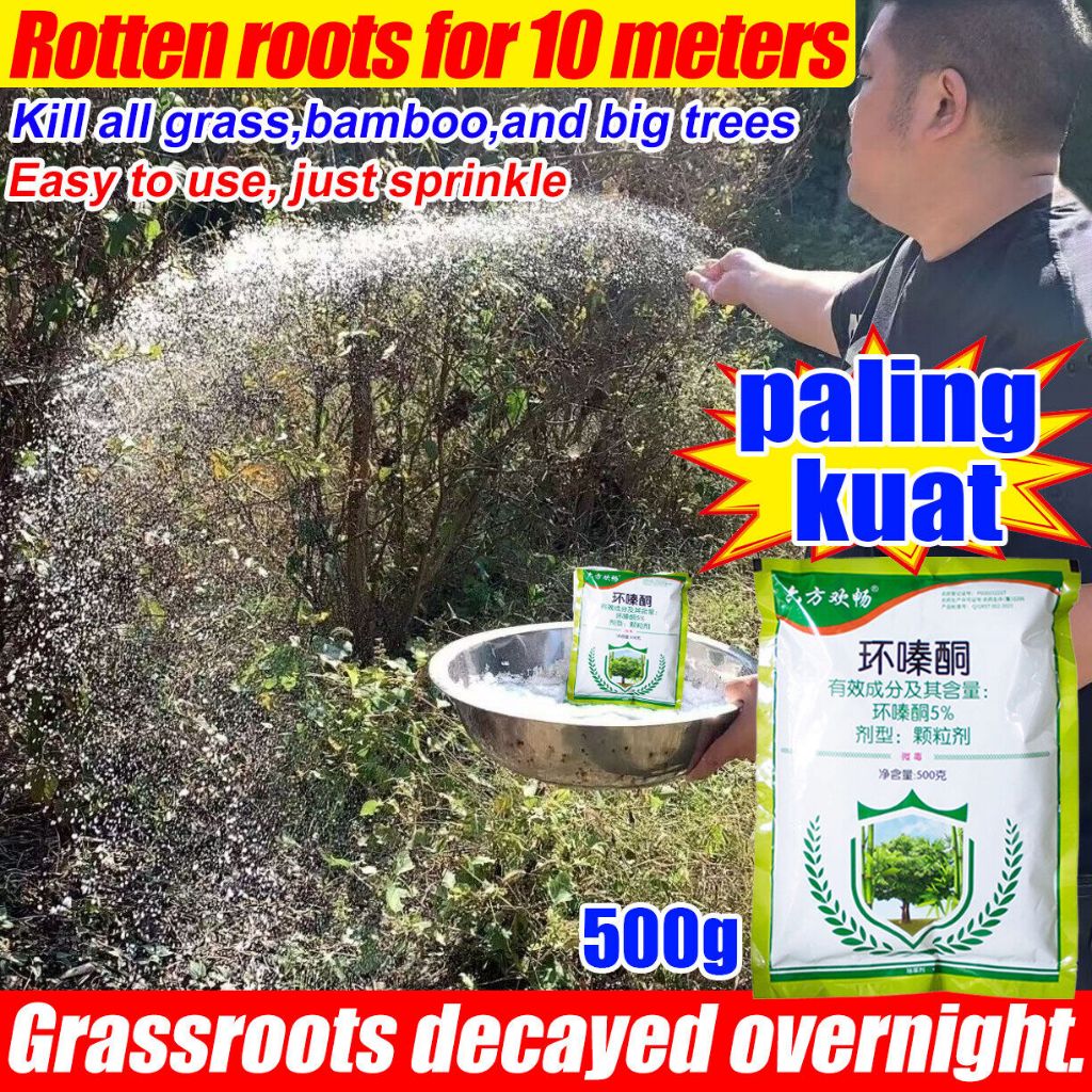100%Effective weed control Removing big trees and bamboo Racun rumpai ...