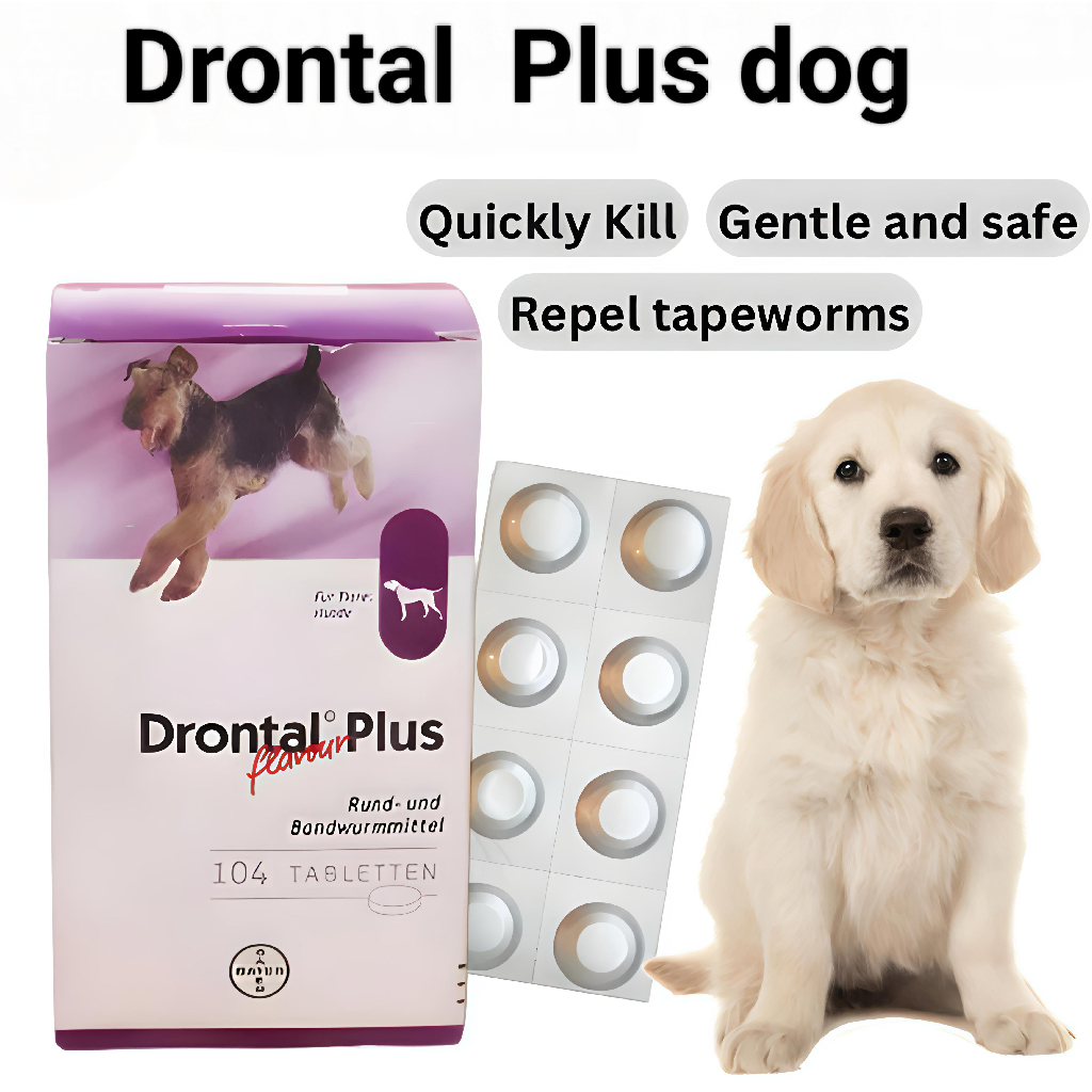drontal plus dewormer tablet for Dogs Tasty Dewormer 1 Tablet(sold per ...
