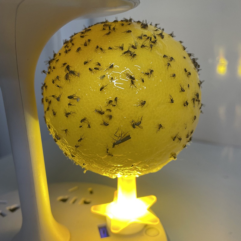 Luminous Ball Fly Catcher Pest Sticky Trap Bee Insect Trap Indoor ...