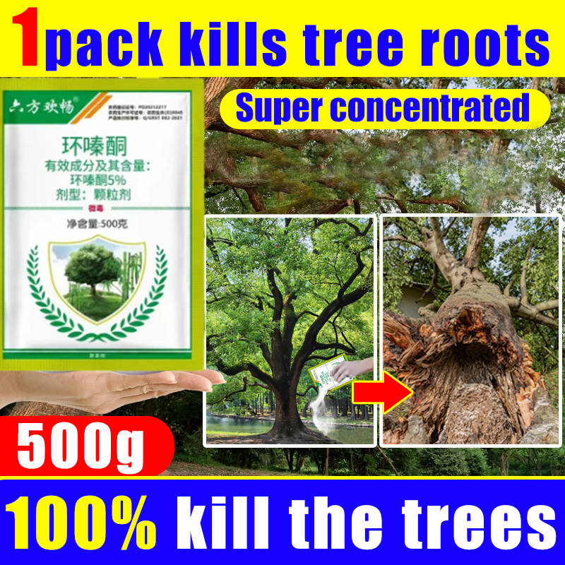 1pack kills tree roots Removing big trees and bamboo racun rumput ...