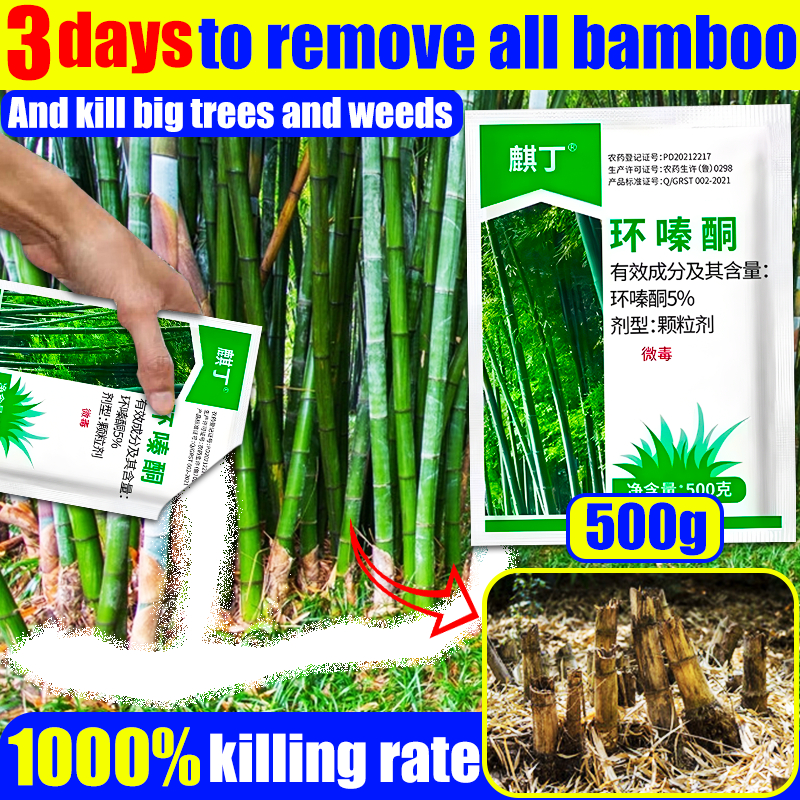 🔥【Strong destructive power】3 days to remove all Bamboo racun buluh ...