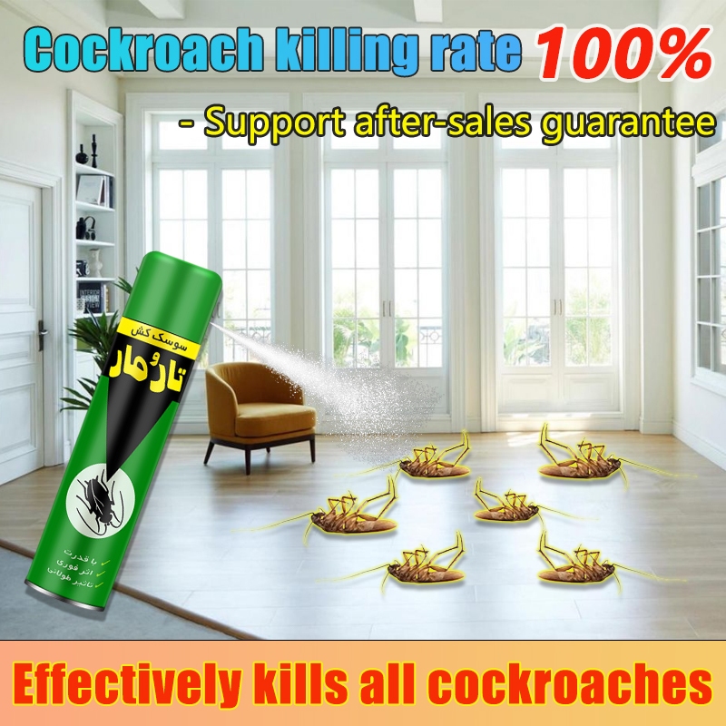 【Kill cockroaches in 3 seconds】Verve Cockroach spray Ridsect cockroach ...