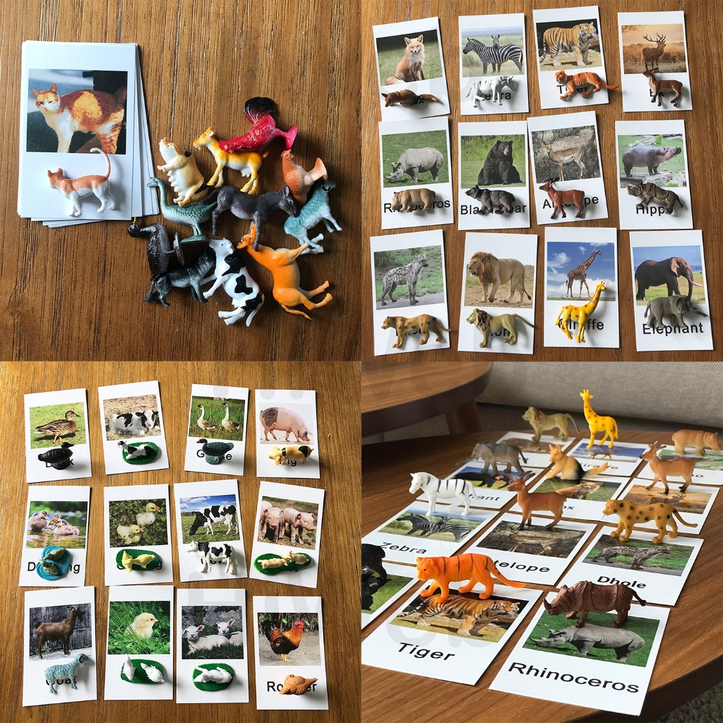 10 types Lifelike Montessori Animal Match Cards,Miniature Poultry ...
