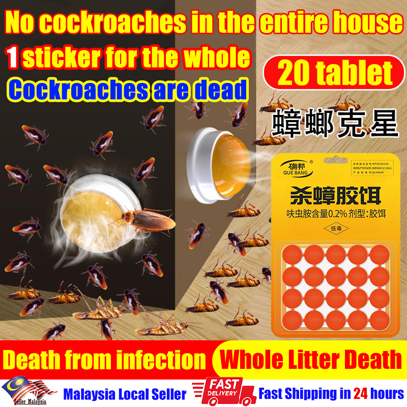 🔥【100% kills cockroaches】cockroach killer for home 1 box/20 tablets ...