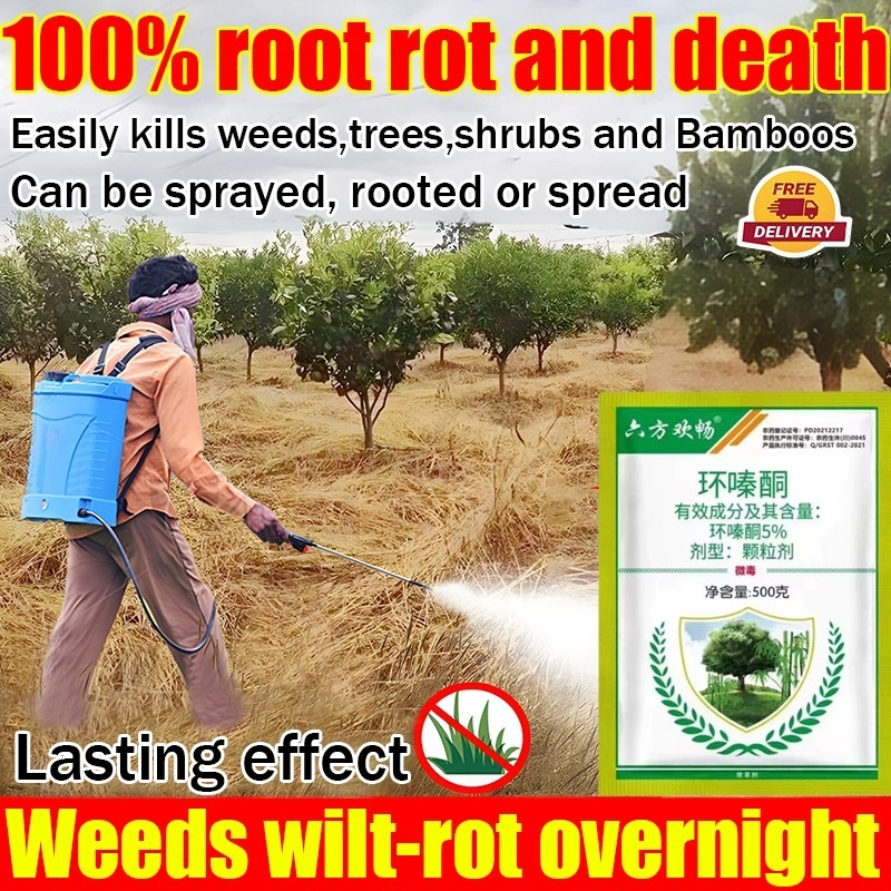 【Strongest, 100% root rot】Weed killer 500g/bag Racun pokok kayu besar ...