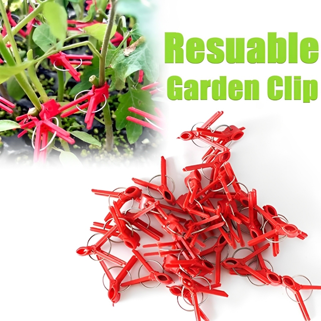 5pcs Plastic Seedling Grafting Clip Garden Vegetable Plants Klip ...